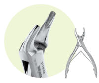 Premier Dental - C151 Mandibular Forceps - Child Size Mandibular Forceps