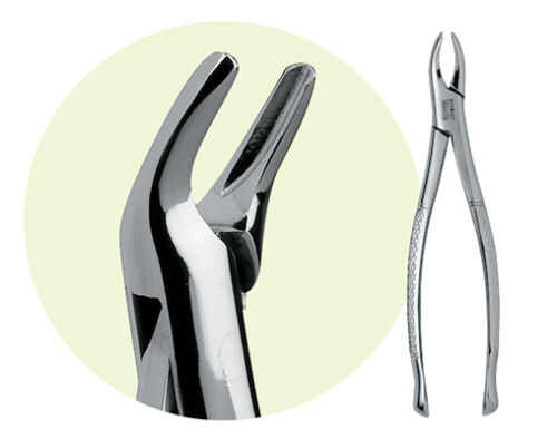 Premier Dental - 101 Maxillary Forceps