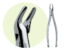 Premier Dental - 101 Maxillary Forceps