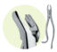 Premier Dental - 18R Maxillary Forceps