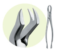 Premier Dental | Forceps
