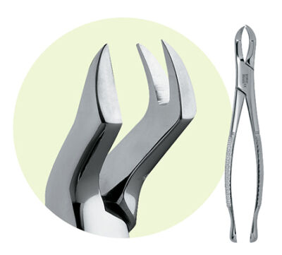 Premier Dental - 88L Maxillary Forceps