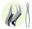 Premier Dental | Forceps