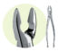 Premier Dental - 99C Maxillary Forceps
