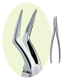 Premier Dental | Root Forceps instrument for Dental Professionals