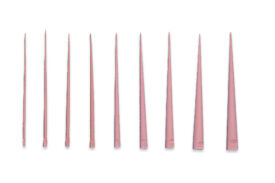 Premier Dental | Gutta Percha Accessory Points - Obturation Materials