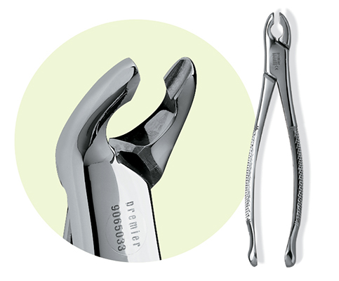 Premier Dental | 151A Mandibular Forceps