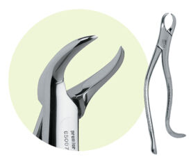 Premier Dental | Mandibular