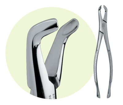 Premier Dental - 222 Mandibular Forceps