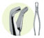Premier Dental - 222 Mandibular Forceps