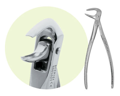 Premier Dental - 74 Mandibular Forceps